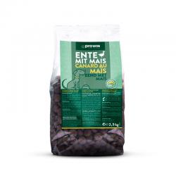 best friends - proWIN international