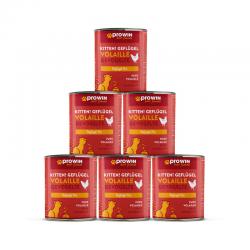 best friends - proWIN international