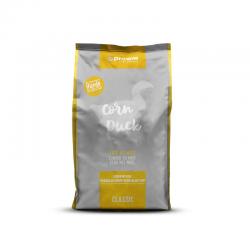 best friends - proWIN