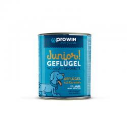 best friends - proWIN