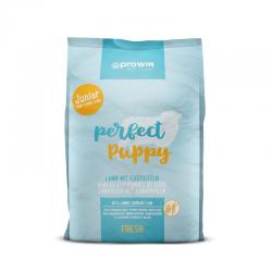 best friends - proWIN